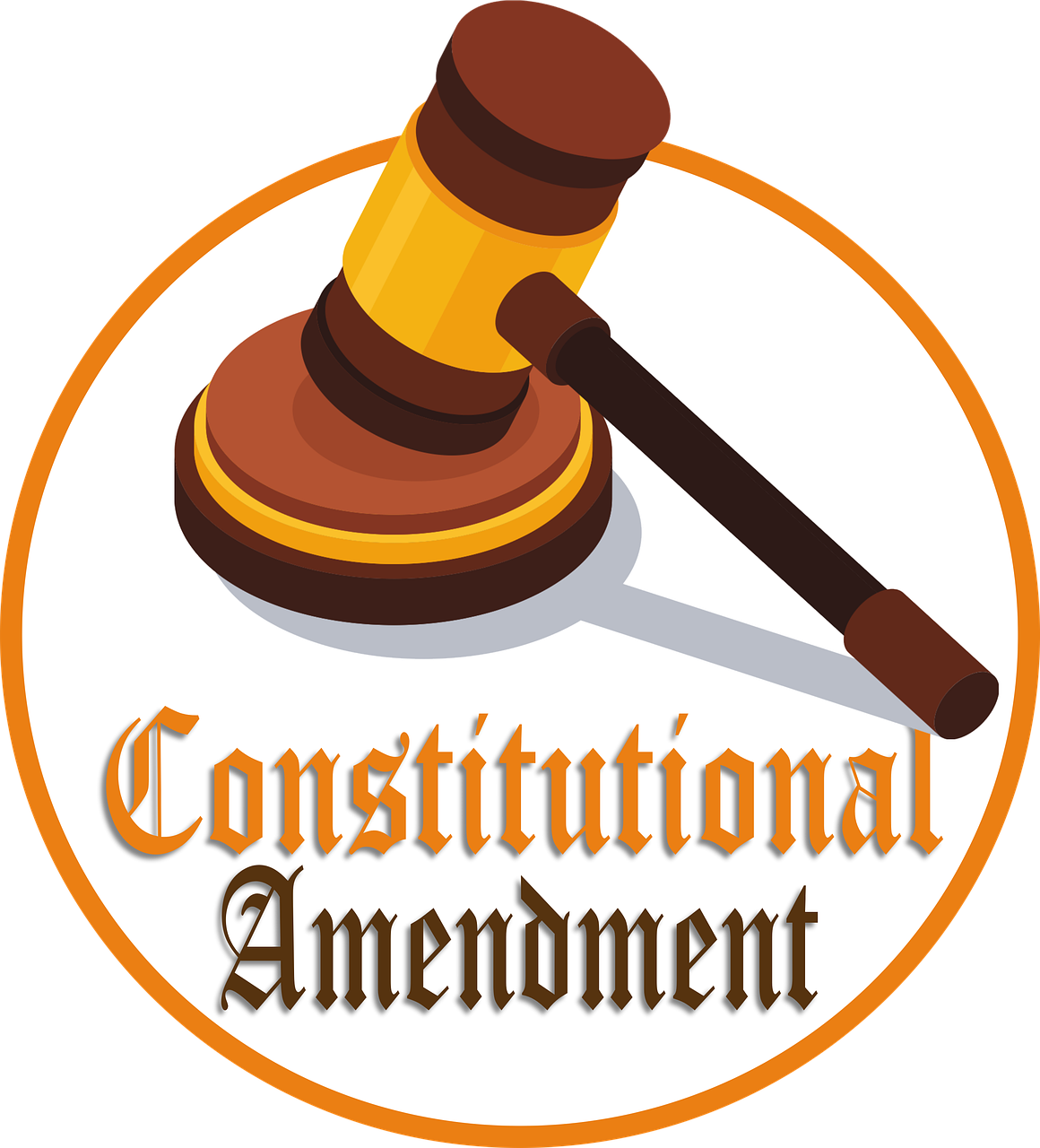 FIRST CONSTITUTIONAL AMENDMENT The Amikus Qriae FIRST CONSTITUTIONAL AMENDMENT The Amikus Qriae