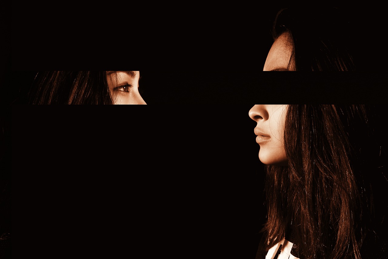 SELF-CONTROL THEORY AND SOCIAL-CONTROL THEORY - The Amikus Qriae