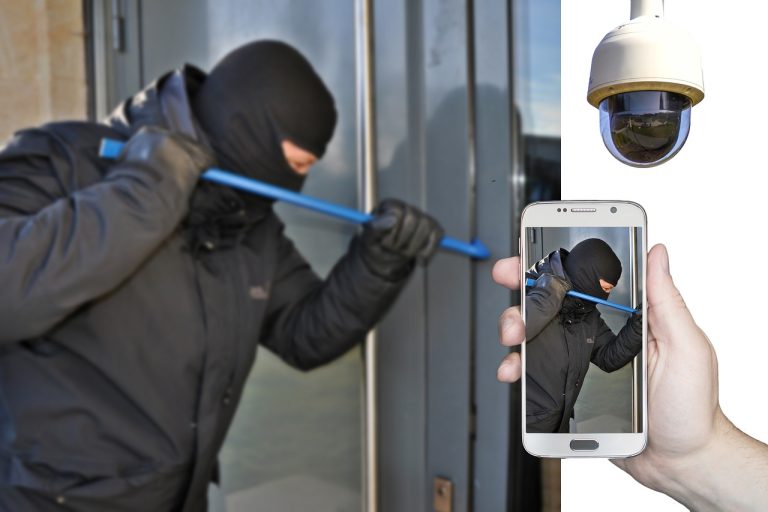 A study of the offences of theft , criminal misappropriation of ...